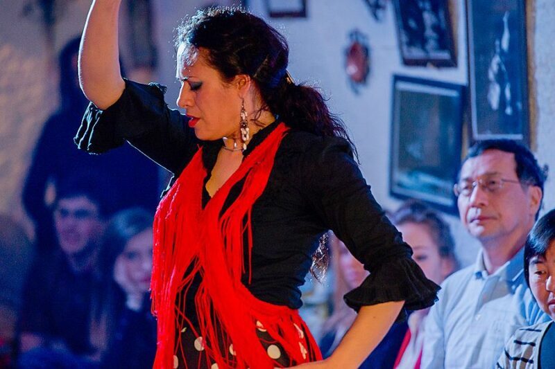 Granada: Sacromonte Caves Flamenco Show with Dinner - In-Depth Breakdown of the Tour