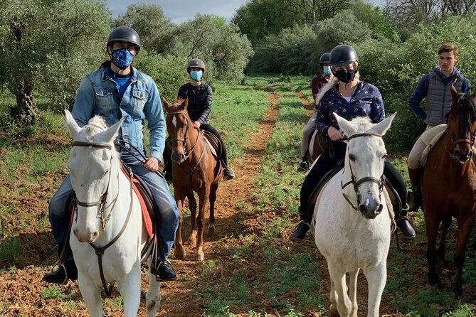 Granada & Sierra Nevada Horse Riding Tour - What to Expect from the Granada & Sierra Nevada Horse Riding Tour