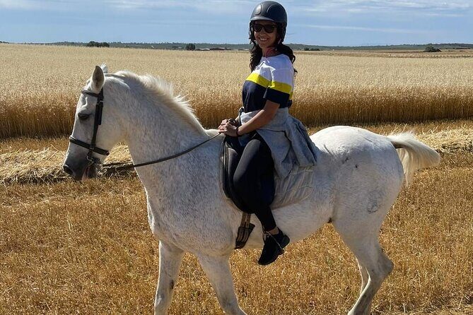 Granada & Sierra Nevada Horse Riding Tour - The Horses and the Scenery: Why They Matter