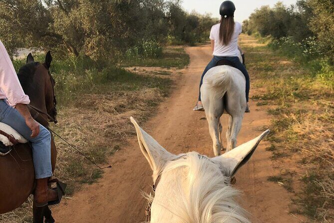 Granada & Sierra Nevada Horse Riding Tour - Final Thoughts: Is It Worth It?