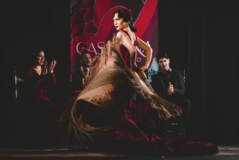 Granada: Traditional Flamenco Show at Tablao Casa Ana - What Makes This Flamenco Show Special?