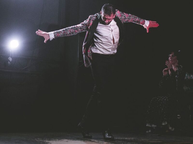 Granada: Traditional Flamenco Show at Tablao Casa Ana - Who Should Book This Flamenco Experience?