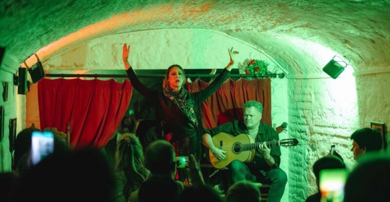 Granada: Traditional Flamenco Show in a Cave Entry Ticket - Key Points