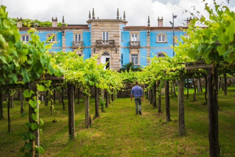 Granbazán Winery: Guided Tour and Wine Tasting - Key Points