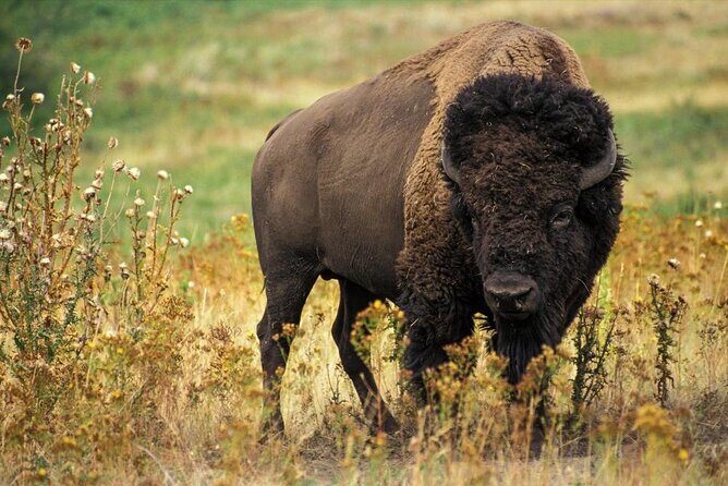 Granby Zoo 1 Day - The Sum Up