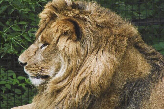 Granby Zoo 1 Day - FAQ