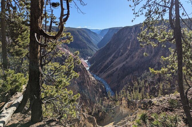 Grand Canyon of Yellowstone Hiking Adventure Full Day with Lunch - Practical Details and What to Expect