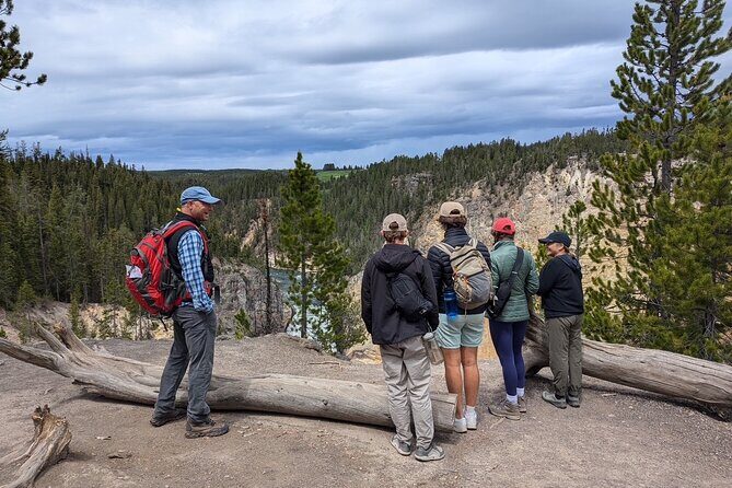 Grand Canyon of Yellowstone Hiking Adventure Full Day with Lunch - Who Would Love This Tour?