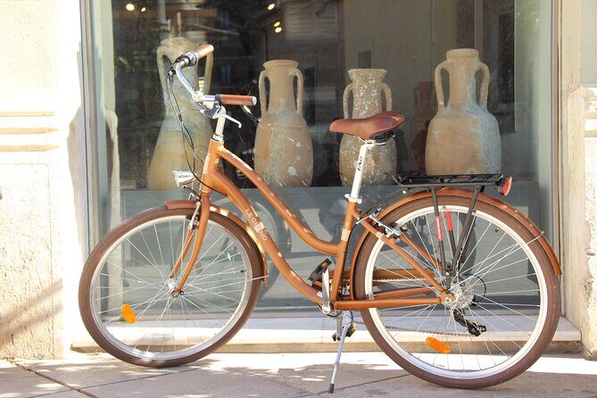 GRAND CITY Private Guided Tour on Bike, E-Bike, E-Step or Segway - Rich Landmarks and Authentic Local Vibe