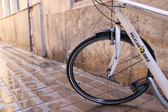 GRAND CITY Private Guided Tour on Bike, E-Bike, E-Step or Segway - Starting Point: Carrer de lHerba