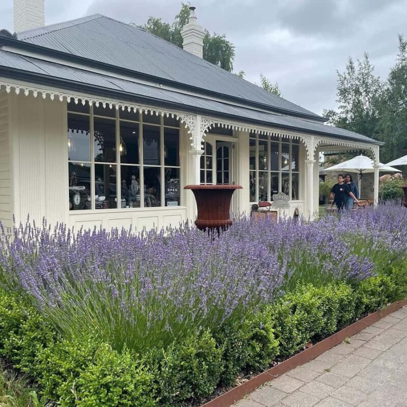 Grand Hobart & Richmond Full-Day Tour - Who Should Consider This Tour?