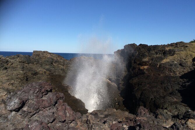 Grand Pacific Drive and Southern Highlands Tour - The Inclusions and Practicalities