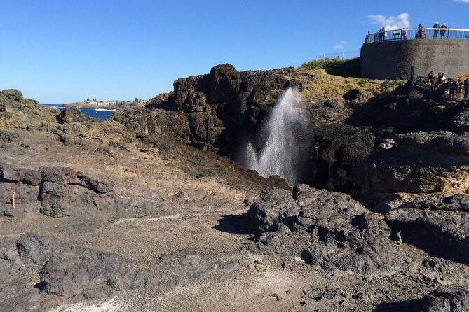 Grand Pacific Drive and Southern Highlands Tour - Who Is This Tour Best Suited For?