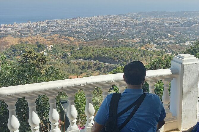 Grand Private Tour: The Best of Malaga and its Surrounds - Who Is This Tour Best For?