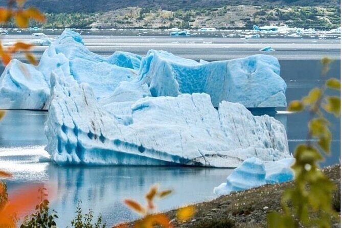 Grand Seward Ocean and Icebergs 1.5 hours 2 Landings Seward - Why This Helicopter Tour Stands Out