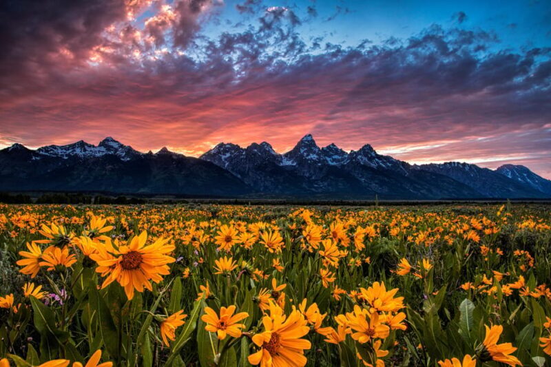 Grand Teton: Private Guided Tour (Sunset) - A Complete Look at the Sunset Tour