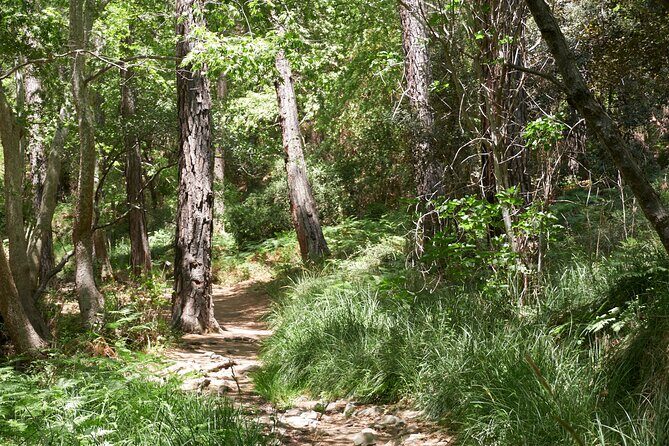 Grand Tour Full Day Jeep Safari from Larnaka - Frequently Asked Questions