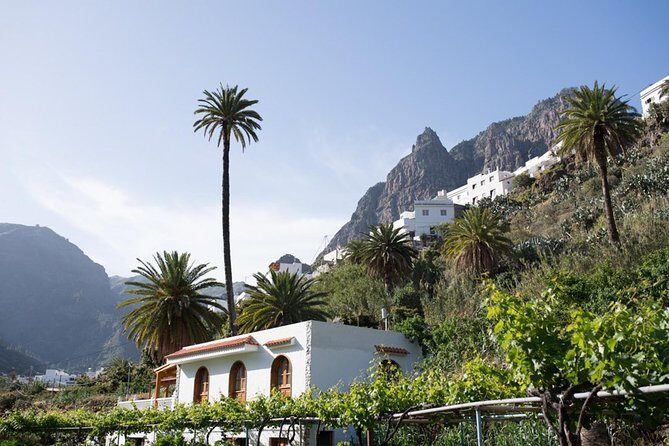 Grand Tour in Gran Canaria - Exploring the Itinerary: What to Expect