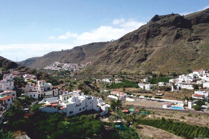 Grand Tour in Gran Canaria - Coffee Plantation in Valle de Agaete
