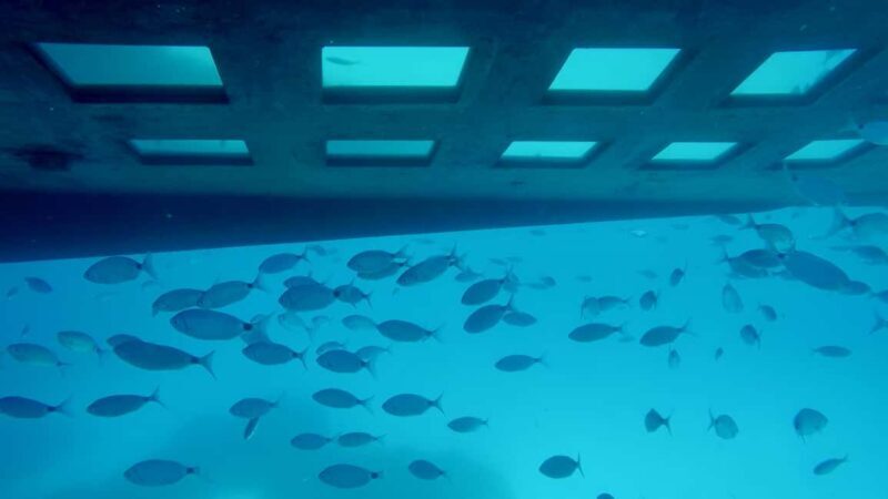 GRAND TOUR SITES CLASSÉS Vision sous-marine,baignade,boisson - Who Should Consider This Tour?