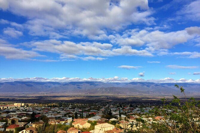 Grand tour to Kakheti for wine lovers: Telavi-Kvareli-Sighnaghi - Who Is This Tour Best For?