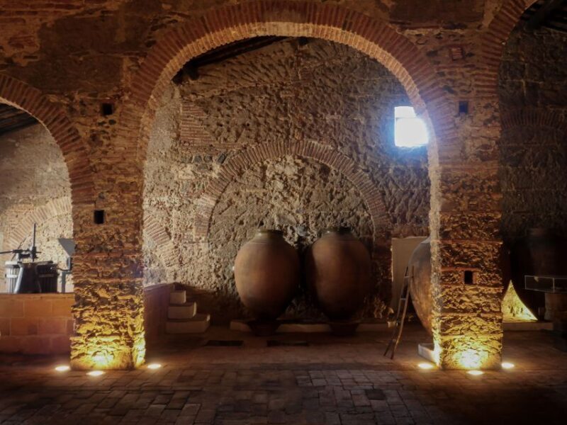 Grande Prova Honrado Vineyards - Key Points