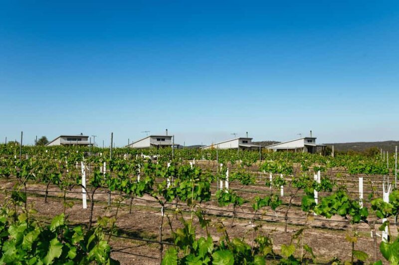 Granite Belt: Winemakers Winetasting Experience & Cheese - Final Thoughts