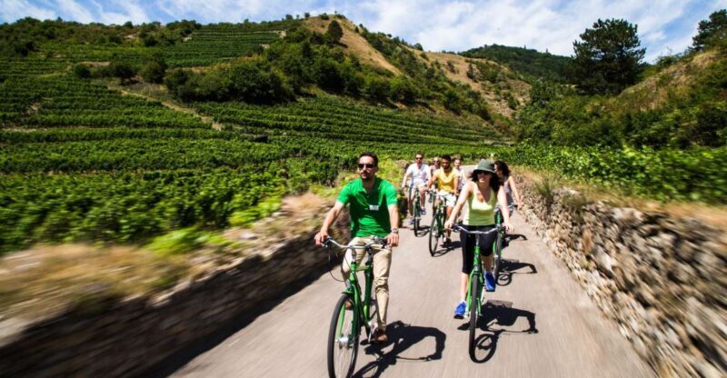 Grape Grazing: Wachau Valley Winery Biking Tour - Key Points