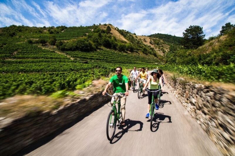 Grape Grazing: Wachau Valley Winery Biking Tour - Detailed Breakdown of the Itinerary