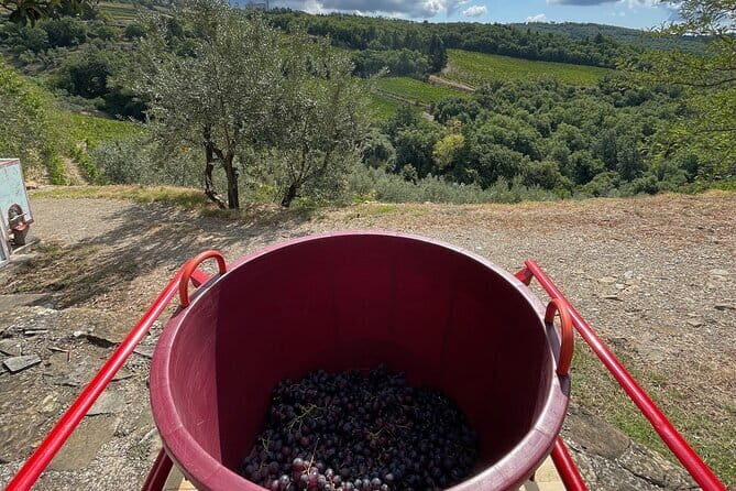 Grape Stomping and Wine Tasting in Tuscany - An Introduction to a Truly Tasty Tuscany Experience