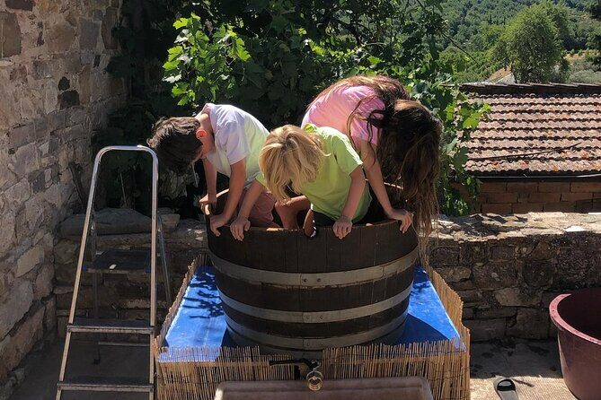 Grape Stomping Experience and Wine Tasting - An In-Depth Look at the Grape Stomping & Wine Tasting Experience