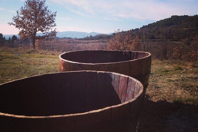 Grape Stomping in Provence - Introduction: Why This Tour Could Be Your Perfect Provence Memory