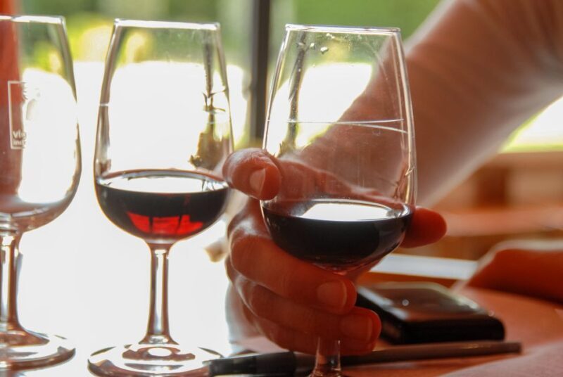 Grasse, Valbonne & Gourdon: Day Tour with Wine Tasting - Visiting a Vineyard: Wine Tasting with a View