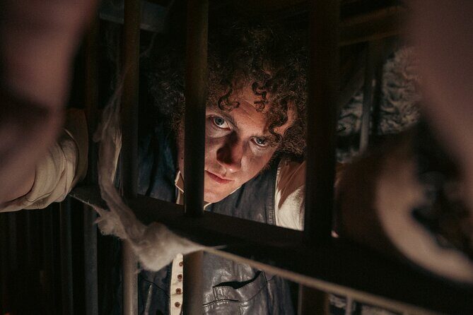 Gravedigger 2-Hour Ghost Bus Tour From Dublin - An In-Depth Look at the Dublin Ghost Bus Experience