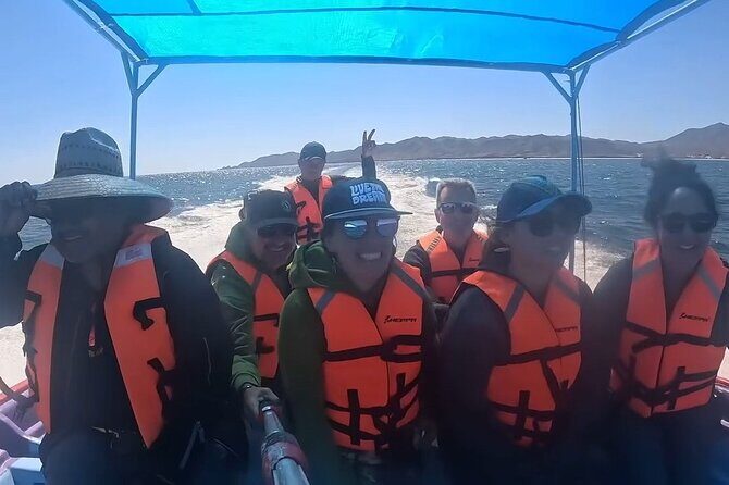 Gray Whale Tour Private Group from La Paz Limited to 8 - Who Should Consider This Tour?