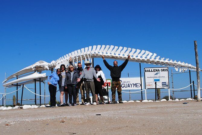 Gray Whale-Watching 2-Day Experience in Magdalena Bay - FAQ