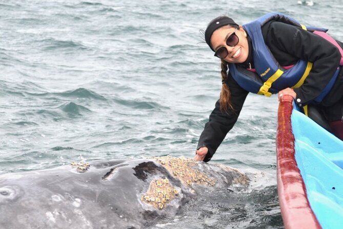 Gray Whale Watching in Bahia Magdalena - What’s Included & Whats Not