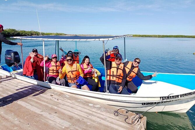 Gray Whale watching in Magdalena Bay From Los Cabos - Introduction: A Whale of a Time in Baja  