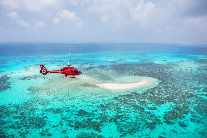 Great Barrier Reef 30-Minute Scenic Helicopter Tour from Cairns - Authentic Experiences & Guest Insights