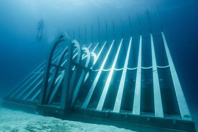 Great Barrier Reef and MOUA Cruise from Townsville or Magnetic Island - Practical Details: What’s Included and What’s Not