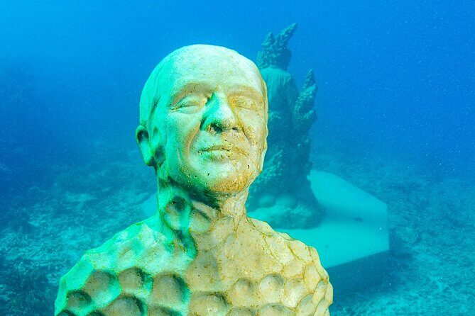 Great Barrier Reef and MOUA Snorkeling Day Tour from Townsville - Why Choose This Reef Tour?