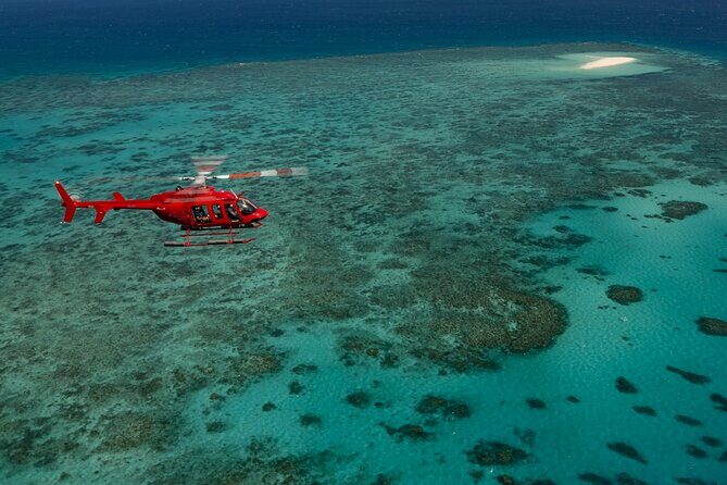Great Barrier Reef or Rainforest Scenic Flights from Port Douglas - Why We Love These Scenic Flights