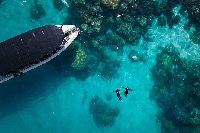 Great Barrier Reef Small Group Snorkelling Adventure - Discover the Great Barrier Reef Small Group Snorkelling Adventure