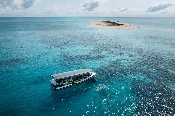 Great Barrier Reef Small Group Snorkelling Adventure - Final Thoughts