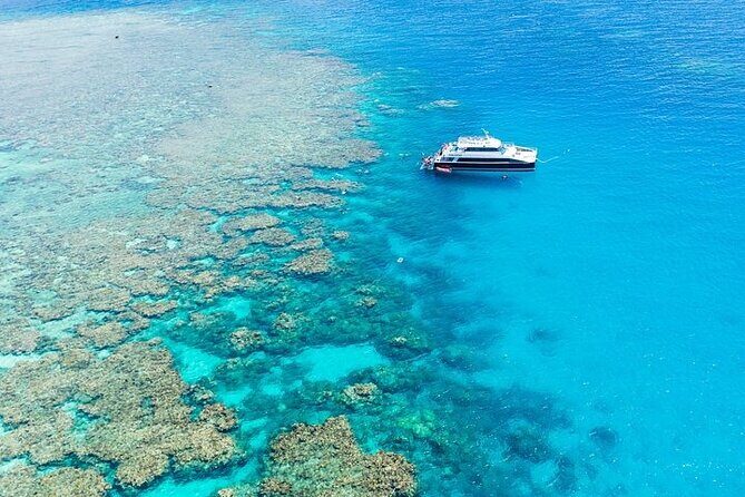 Great Barrier Reef with Cultural Guides-Dreamtime Dive & Snorkel - The Experience: What to Expect on the Reef