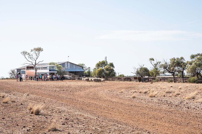 Great Darr River Rail Run - Who Is This Tour Best For?