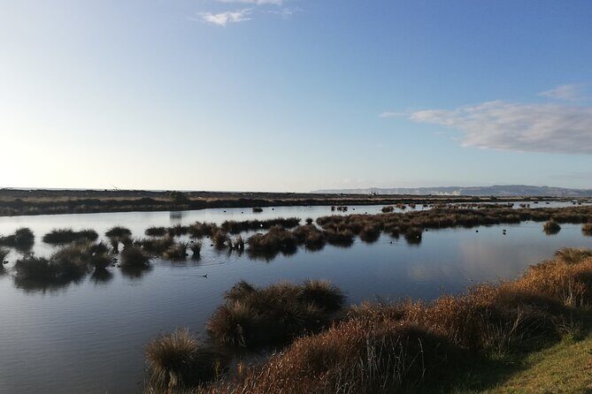 Great Escape Self-Guided Scenic Cycle Winery Tour from Napier - A Closer Look at the Itinerary and Stops