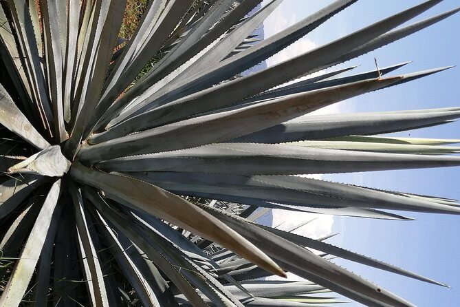 Great Experience With A Tour Guide With Spark - Deep Dive into the Experience