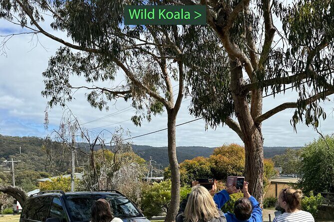 Great Ocean Road 1 Day Luxury Private Tour - Detailed Review of the Great Ocean Road Luxury Private Tour