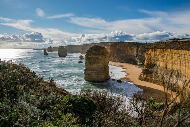 Great Ocean Road, 12 Apostles, Rainforest & Morning Tea-Melbourne - The Experience: What Sets This Tour Apart